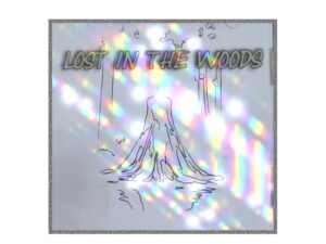 LOST IN THE WOODS – CD – I GOT THE MUSIC TO SING